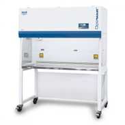 Mammalian cell culture | VIB Switch Laboratory