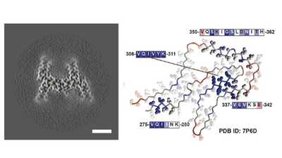 Switch Lab | VIB Switch Laboratory