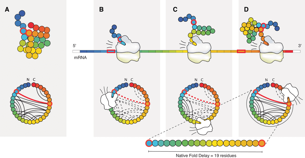Switch Lab | VIB Switch Laboratory